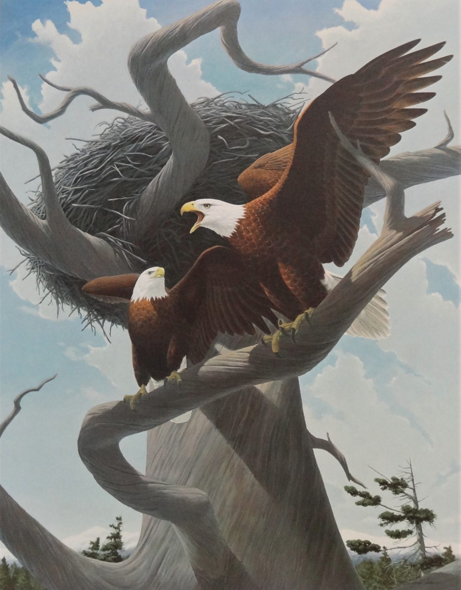 Richard Sloan’s Birds of the Southeast - Customs House Museum ...