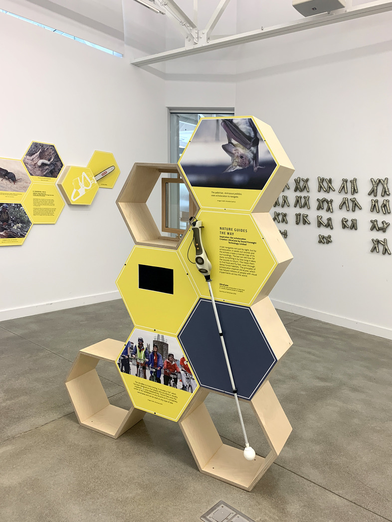 Discovering Nature’s Blueprints: Biomimicry in Art and Design - Customs ...