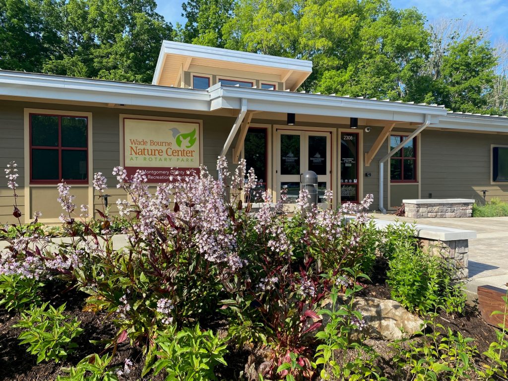 5 Fun Ways to Enjoy the Wade Bourne Nature Center - Customs House ...