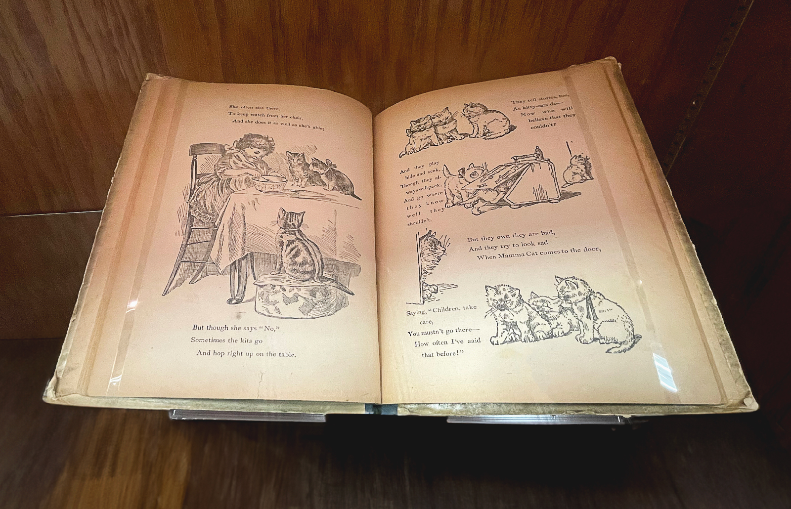 Collections Spotlight: Antique Books at the Library! - Customs House ...